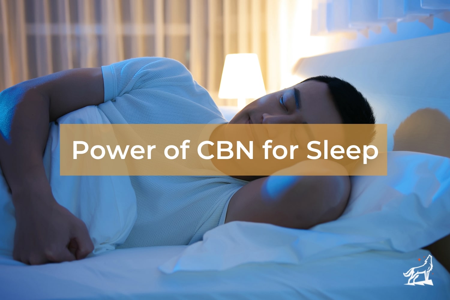 Recharge and Rebuild: Unlocking the Power of CBN for Sleep – Wolf 21